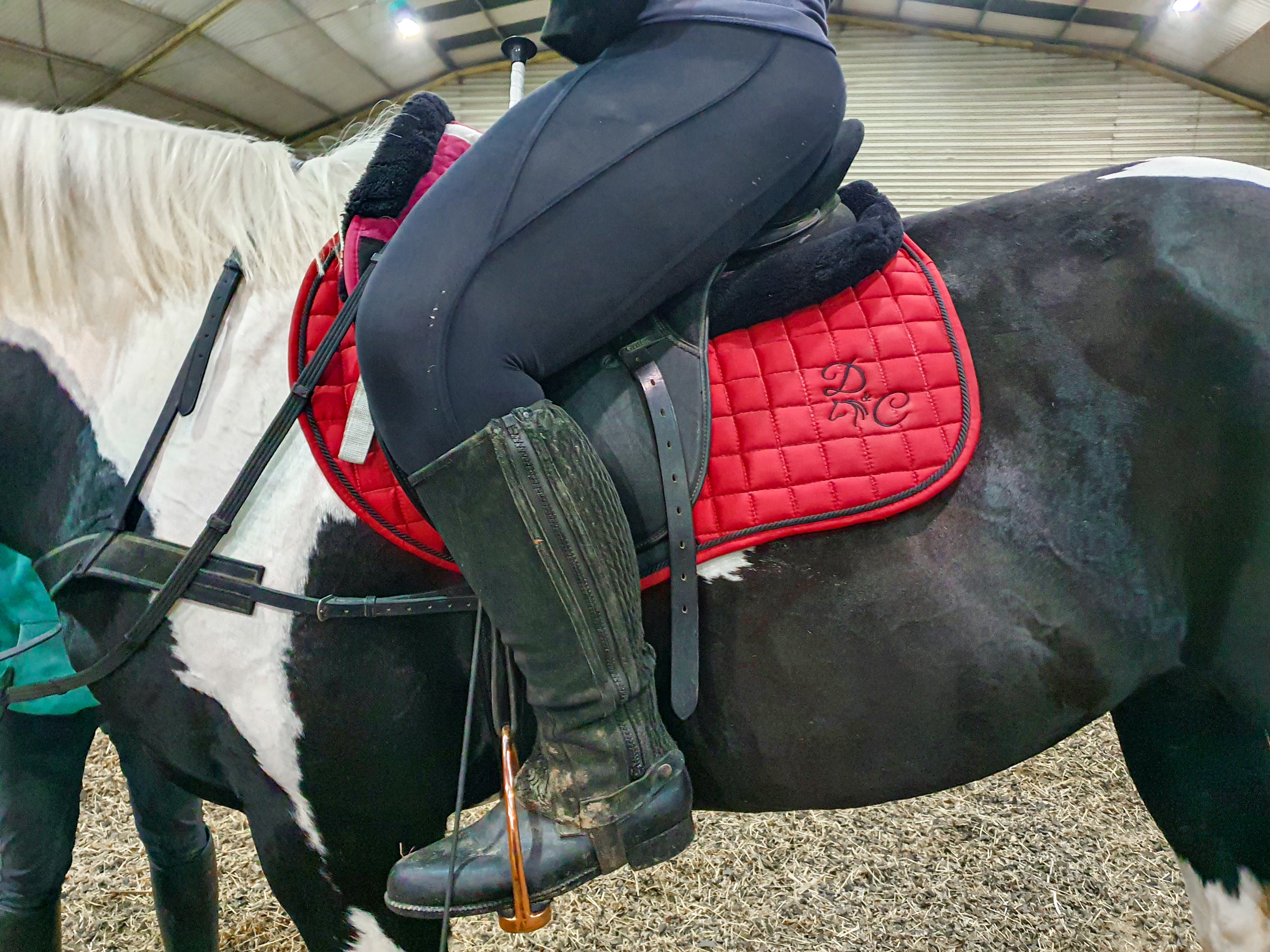 Ruby Red Saddle Pad – D&C Equestrian Wear
